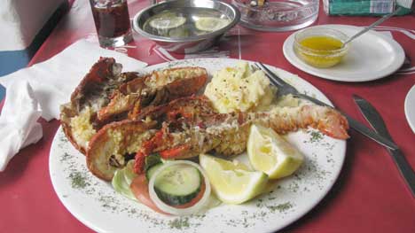 Bokomo-brekfisbrief; 01/11/08: Melt, kreef en 'n renoster - LitNet